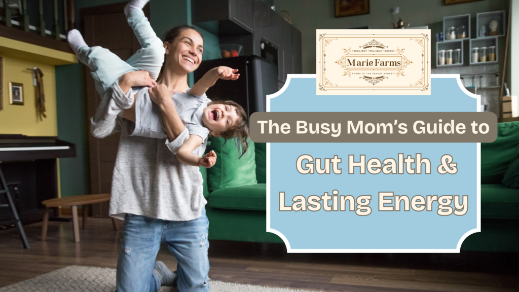 The Busy Mom S Guide To Gut Health Lasting Energy